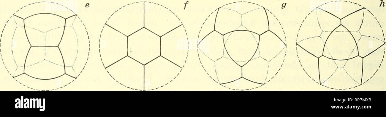 Vierteilung hi-res stock photography and images - Alamy