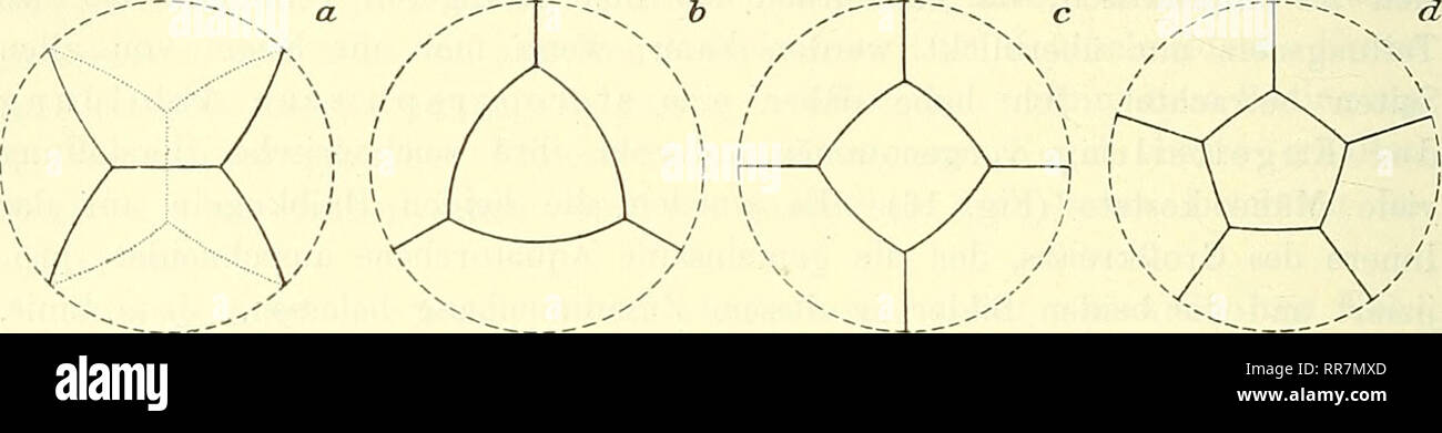 Vierteilung hi-res stock photography and images - Alamy