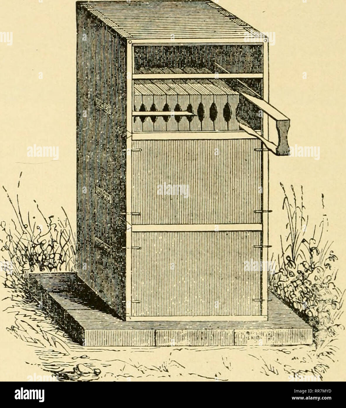 . The ABC and XYZ of bee culture; a cyclopedia of everything pertaining ...