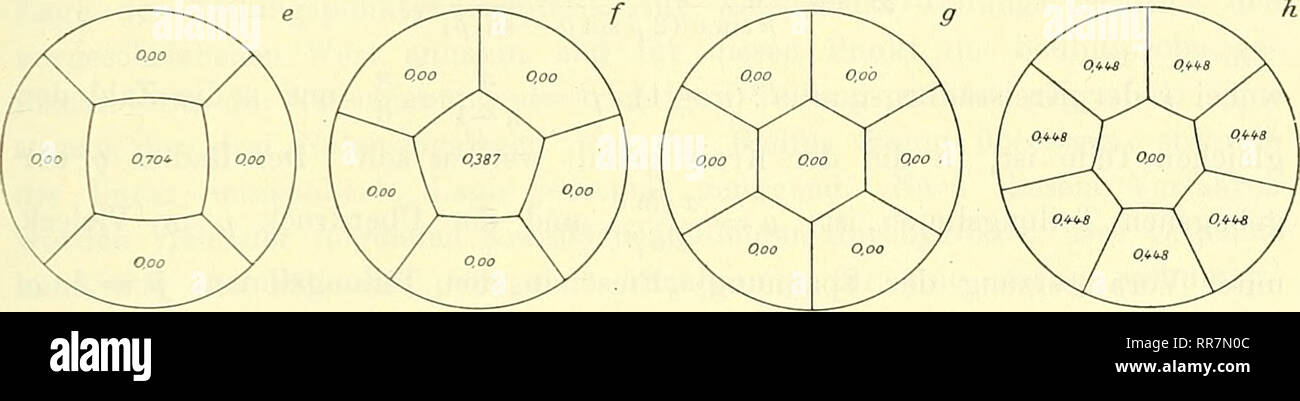 Vierteilung hi-res stock photography and images - Alamy