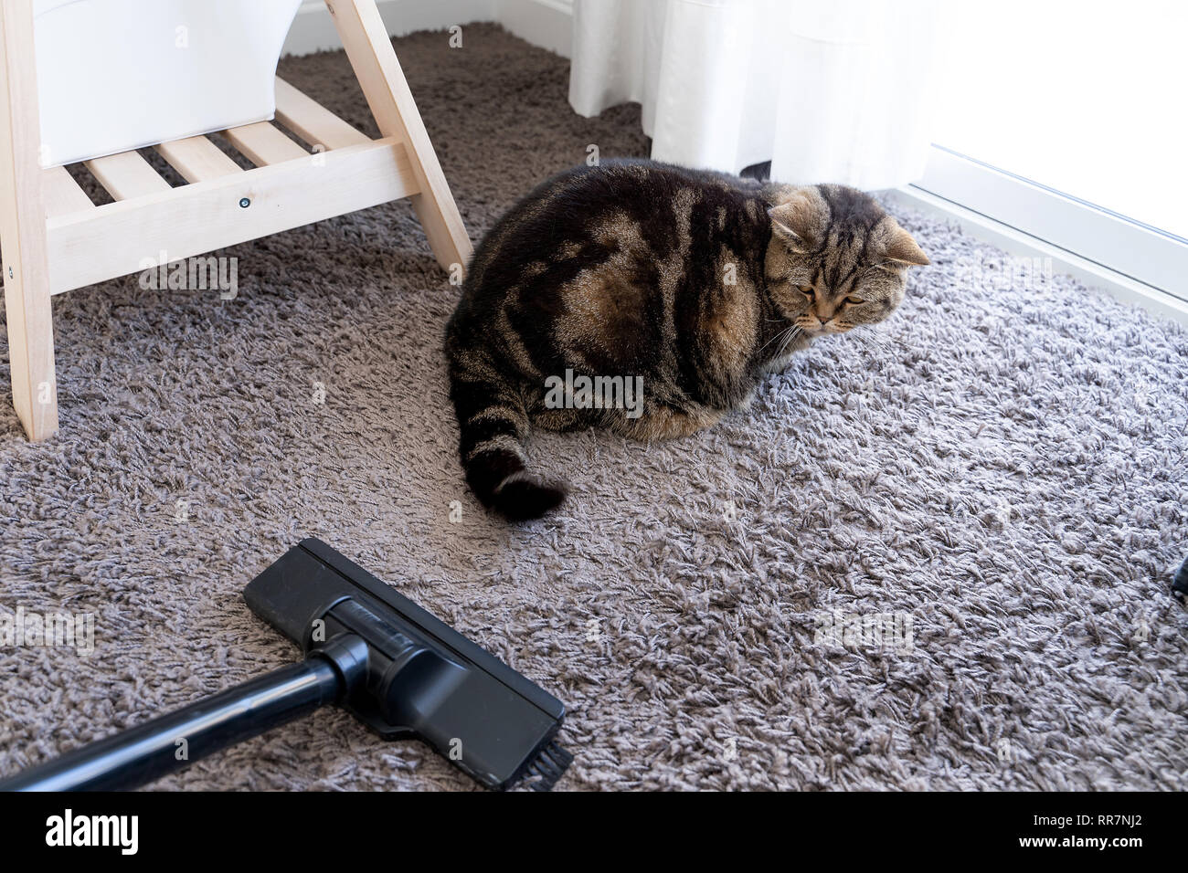 Dirty tube socks hi-res stock photography and images - Alamy