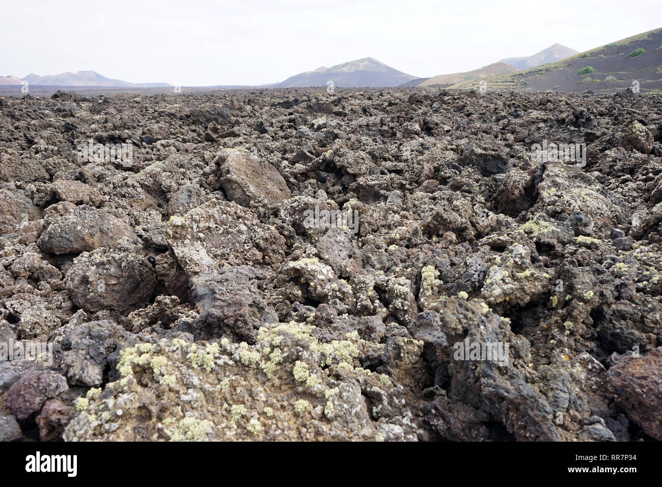 Volcano land on the south part of Lancerote is;land, Spain Stock Photo ...