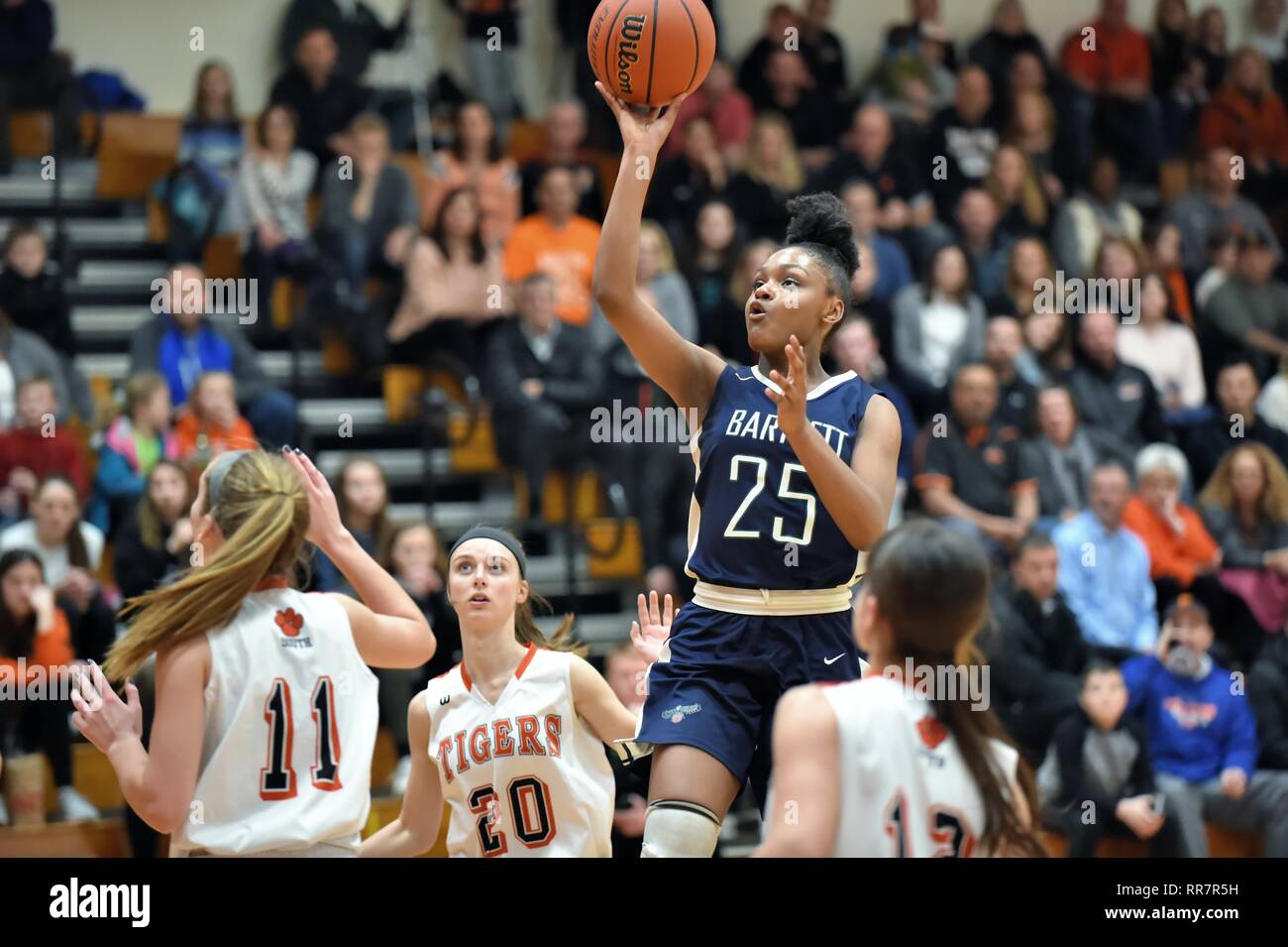 Ladies high jump hi-res stock photography and images - Alamy