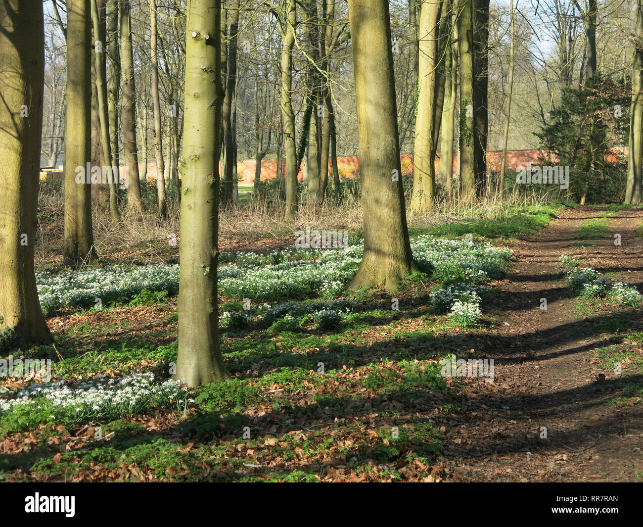 Woods northamptonshire landscape hi-res stock photography and images ...