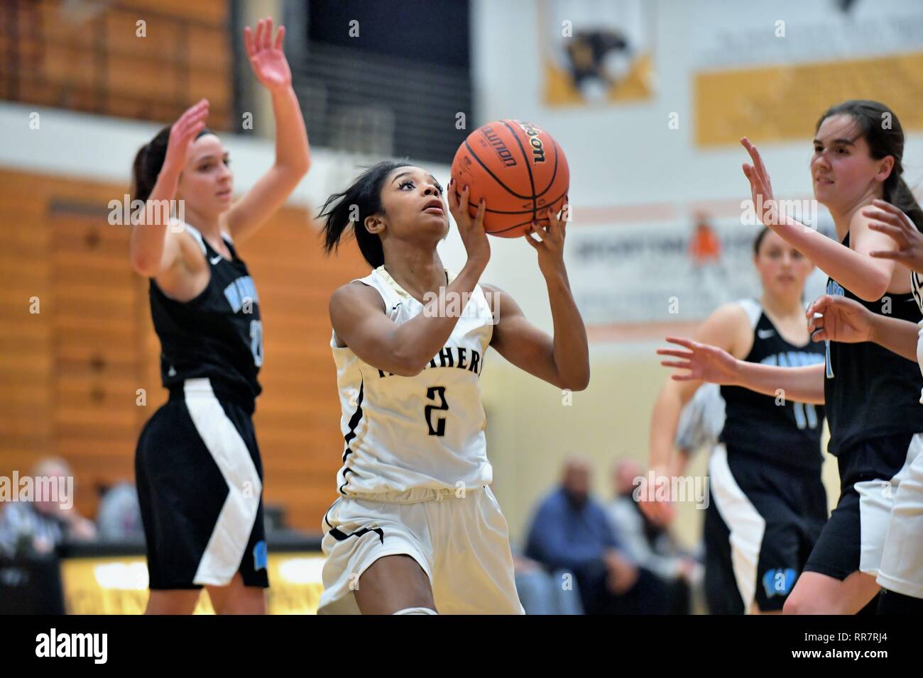 Ladies high jump hi-res stock photography and images - Alamy