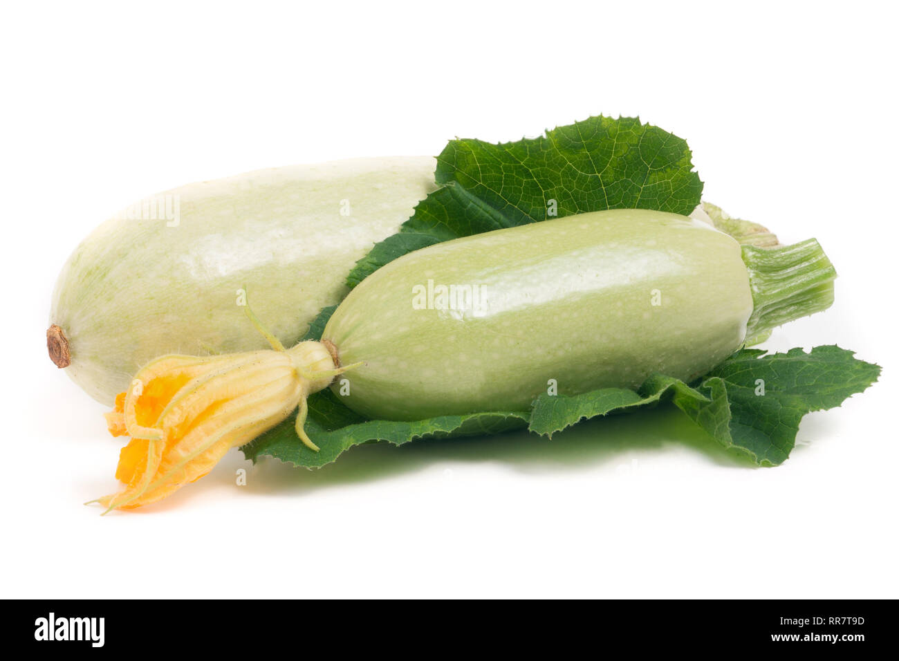 two zucchini with flower and leaf isolated on white background Stock ...
