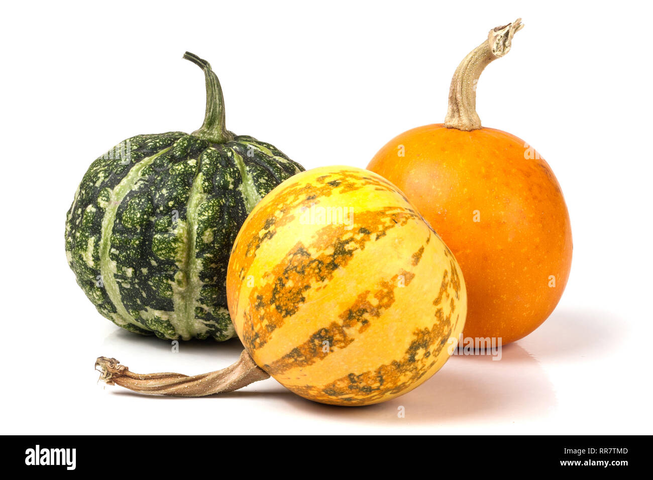 Three pumpkins isolated on hi-res stock photography and images - Alamy