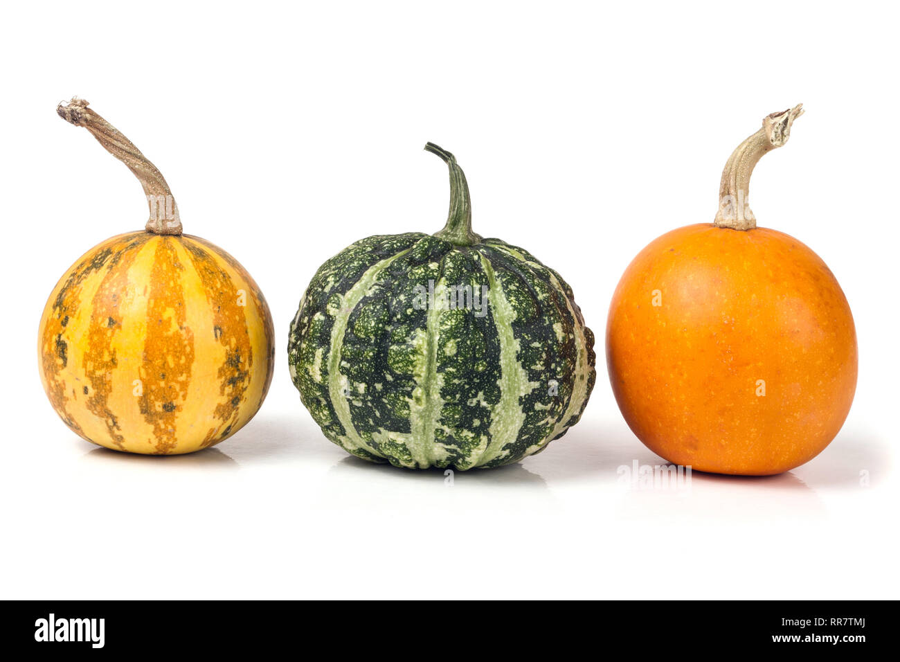 Pumpkin stalk Cut Out Stock Images & Pictures - Alamy