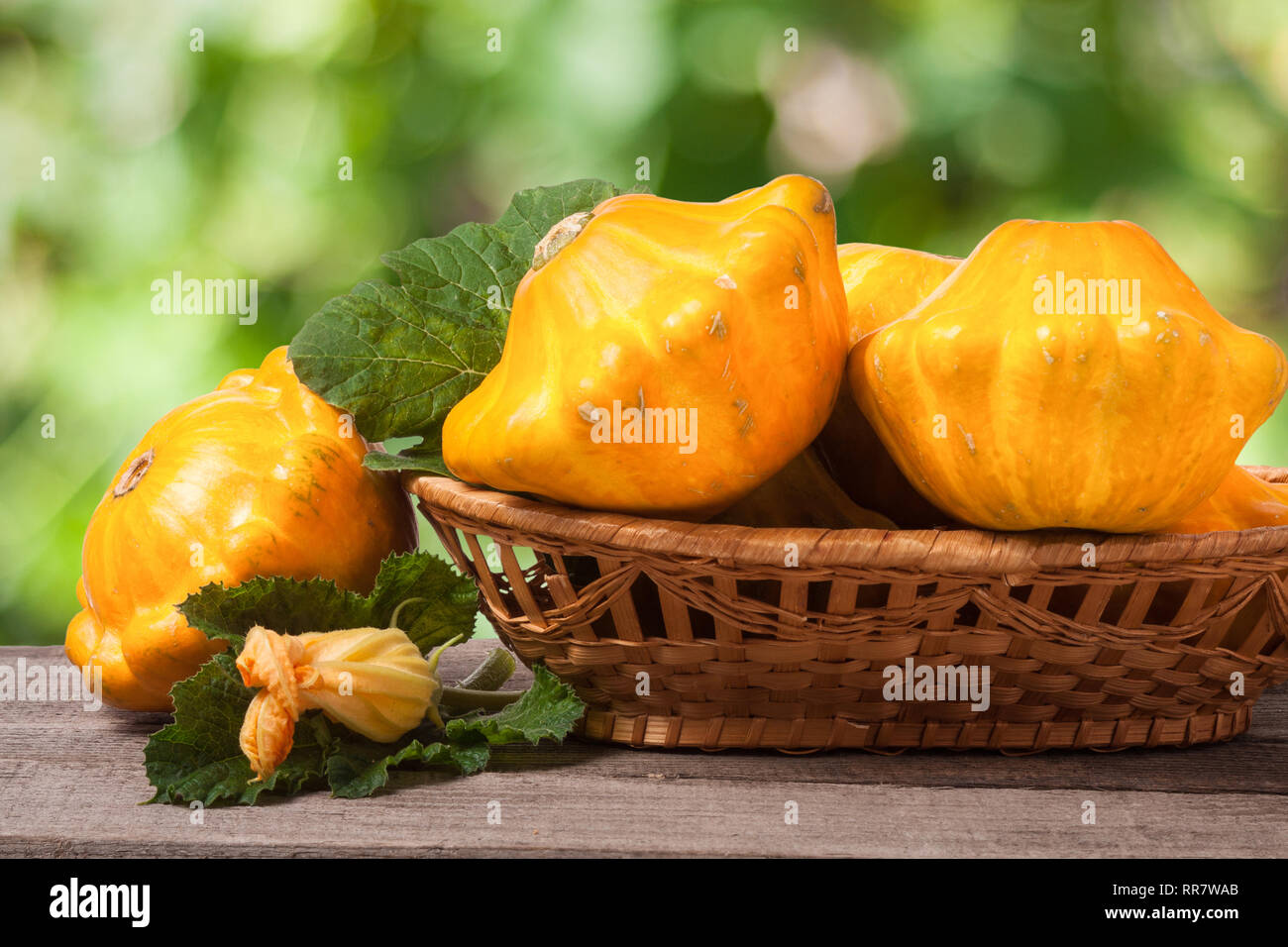 yellow pattypan squash with leaf in a wicker basket on wooden table ...
