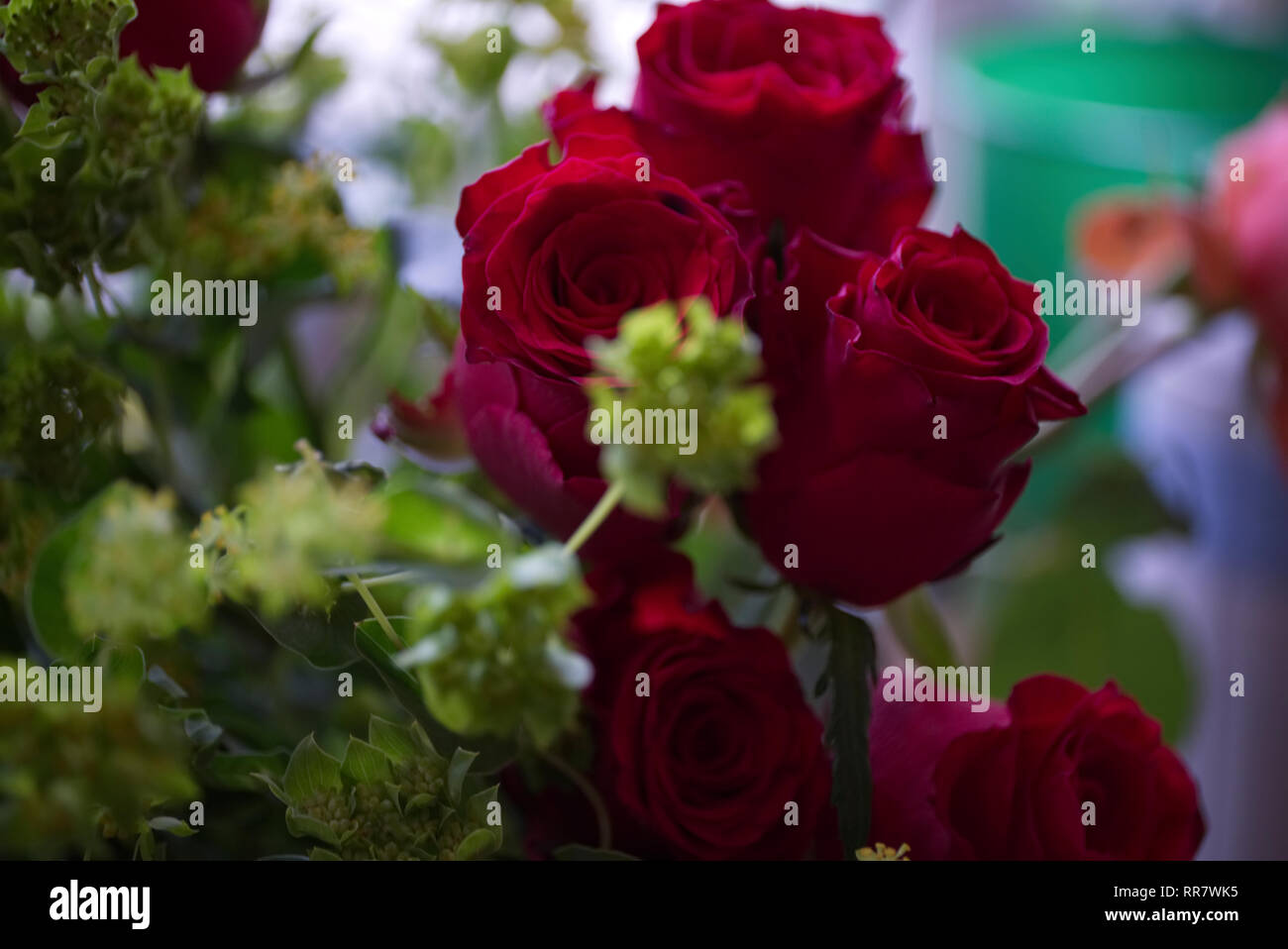 Red roses in a floral shop, using selective focus Stock Photo - Alamy