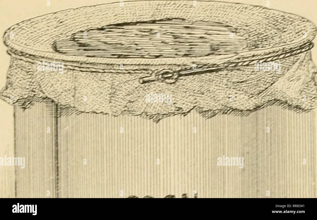 Bell extractor hi-res stock photography and images - Alamy