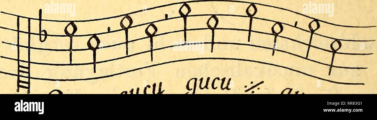 Noten original hi-res stock photography and images - Alamy