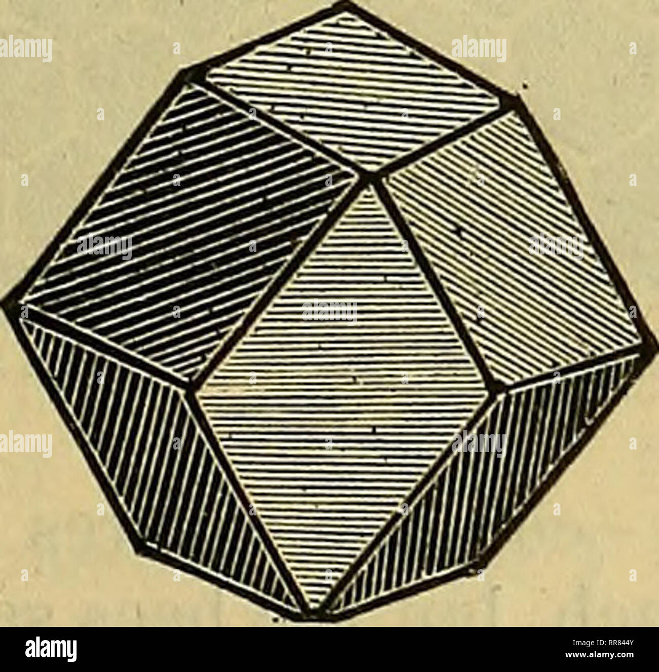 Apiary diagram hi-res stock photography and images - Alamy