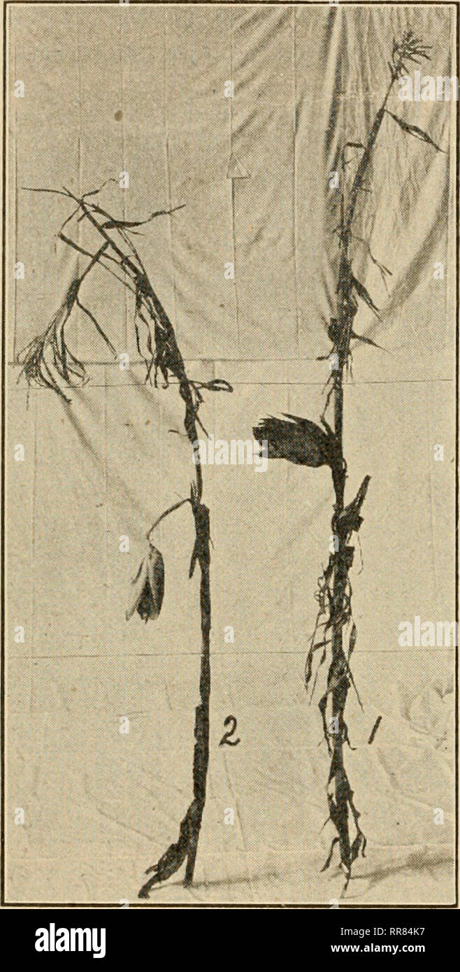 Breaking off cheese hi-res stock photography and images - Alamy