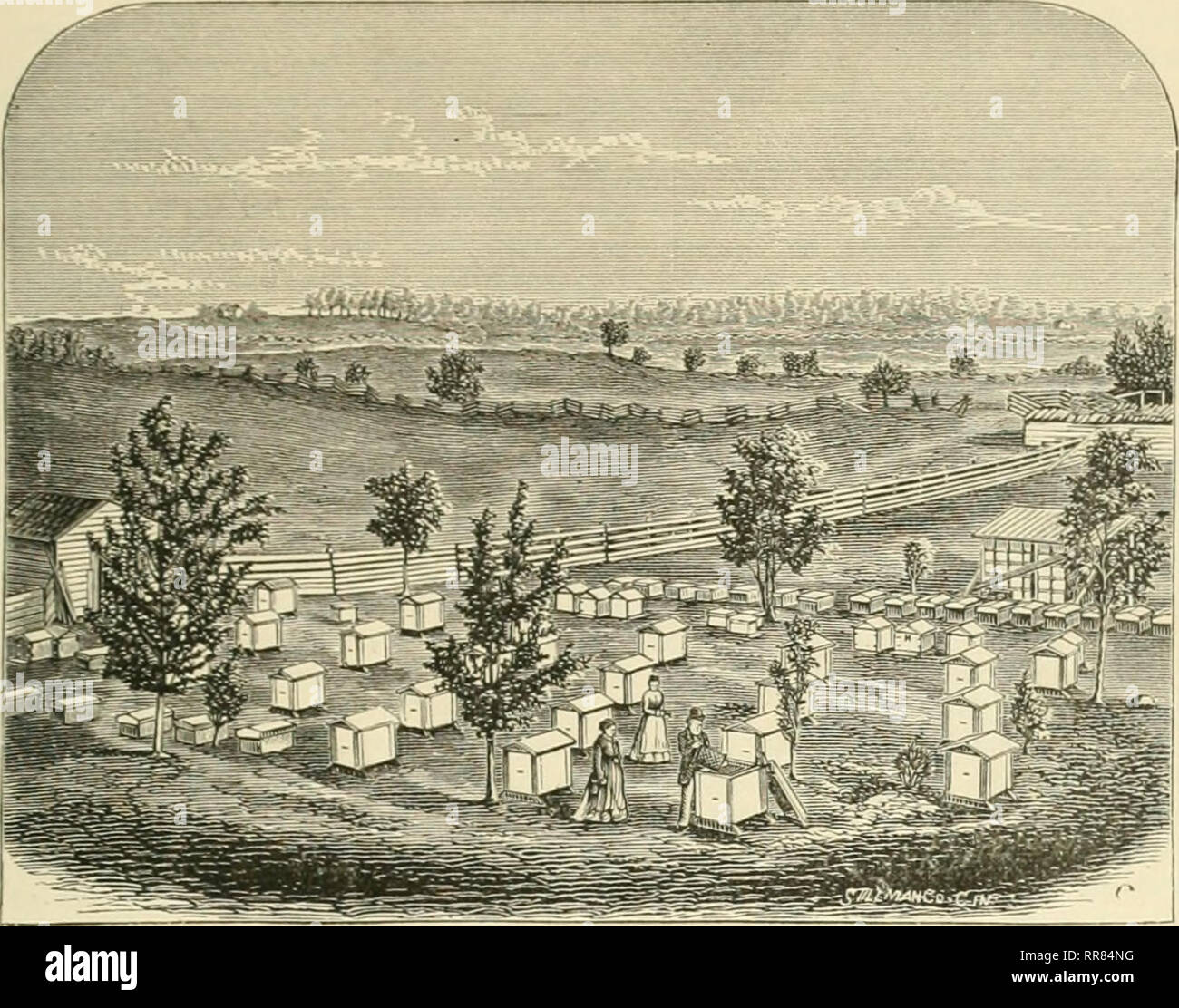 . The A B C of bee culture: a cyclopaedia of every thing pertaining to ...