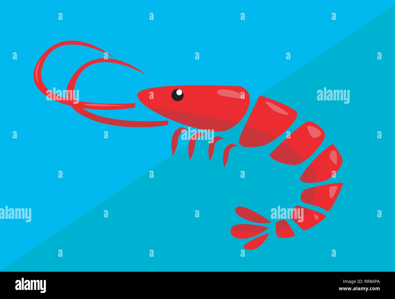 Shrimp vector illustration Stock Vector Image & Art - Alamy