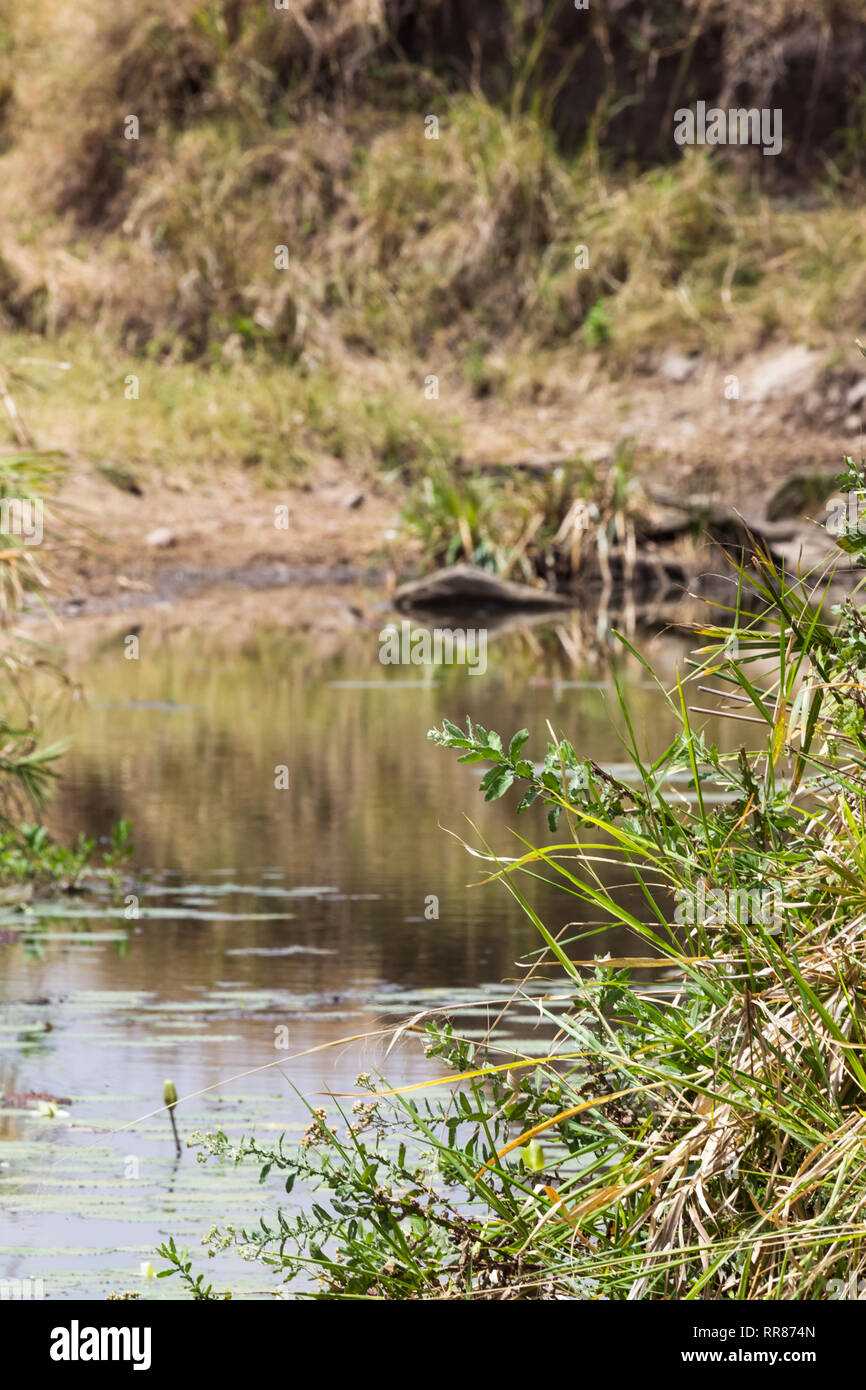 Water flows in small river hi-res stock photography and images - Alamy