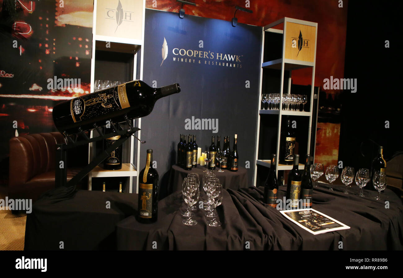 Cocktails With The SAG Awards: A Behind-the-Scenes Experience Featuring ...