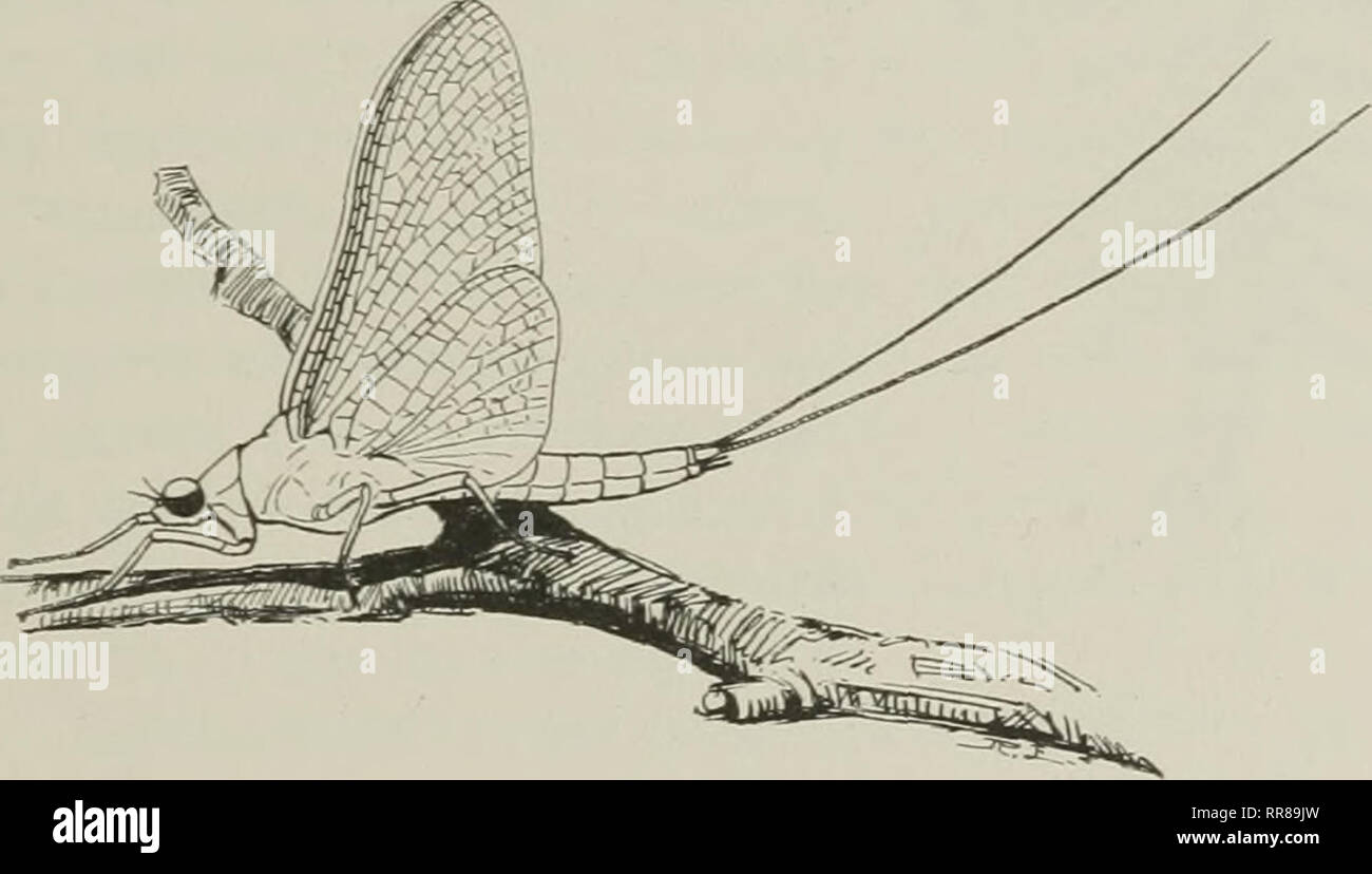 Paleontological evidence hi-res stock photography and images - Alamy