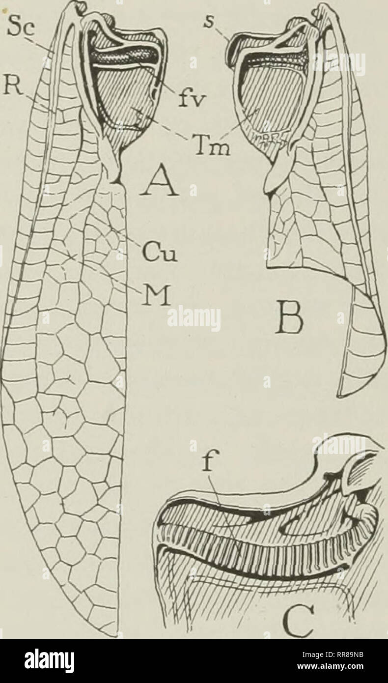Ka ing hi-res stock photography and images - Alamy