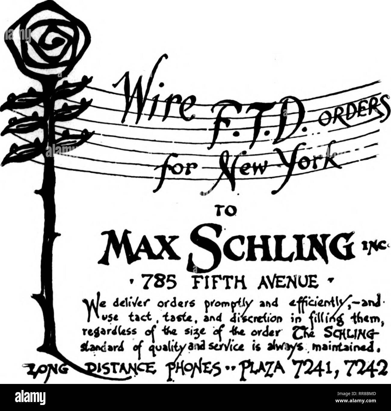 Calamaras hi-res stock photography and images - Alamy