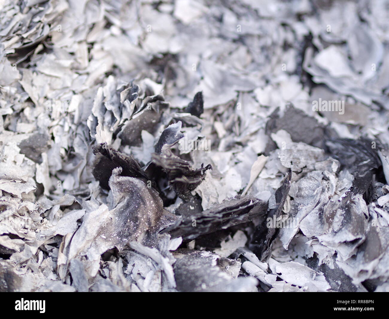 Kongtek hi-res stock photography and images - Alamy