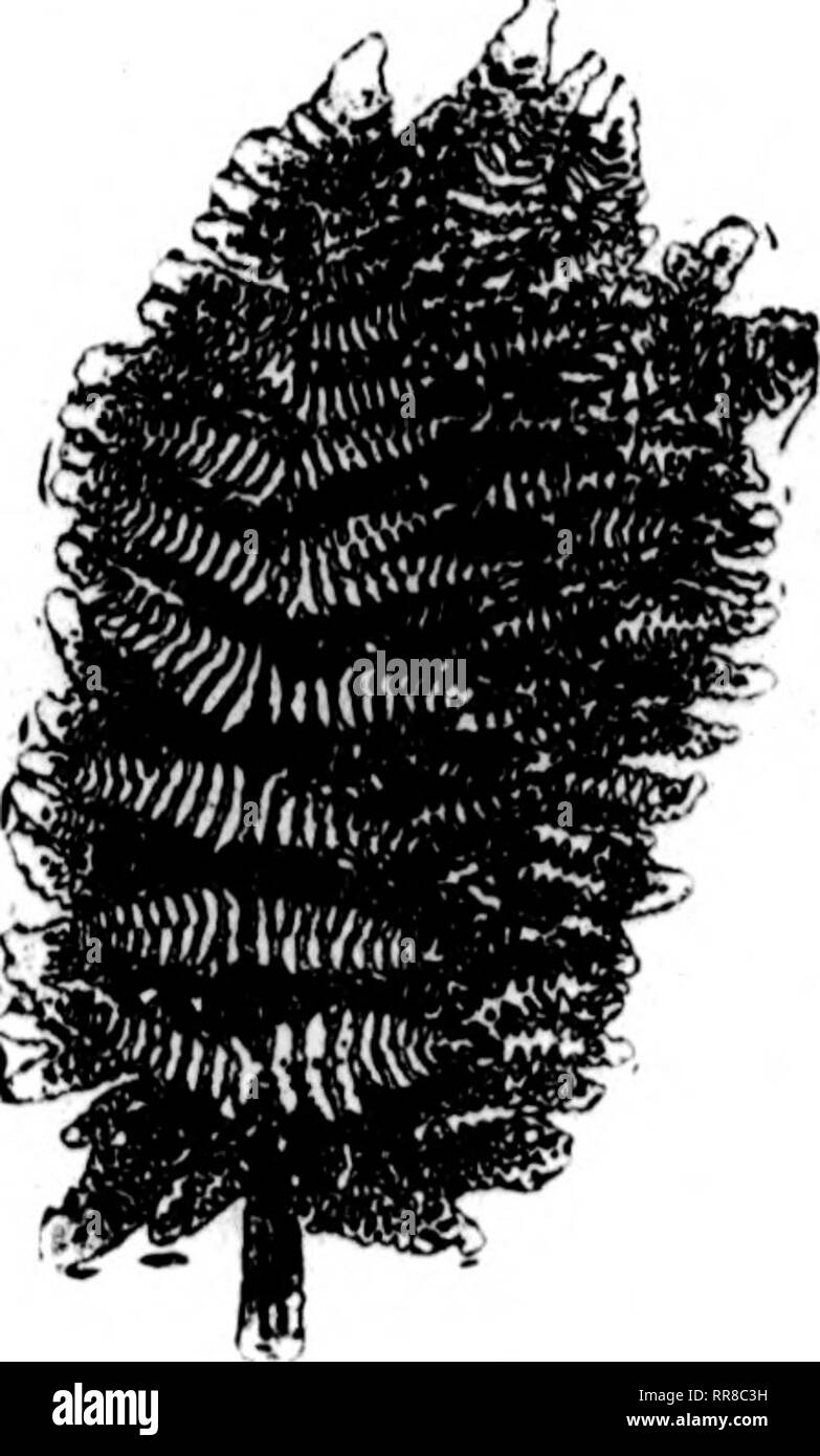 W 1 2 50 Cut Out Stock Images & Pictures - Alamy