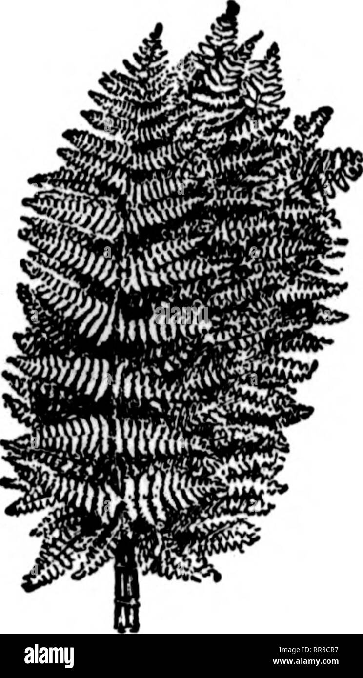 21 10 50 Cut Out Stock Images & Pictures - Alamy