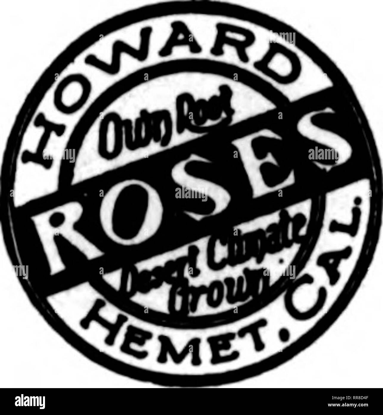 Bush x Black and White Stock Photos & Images - Alamy