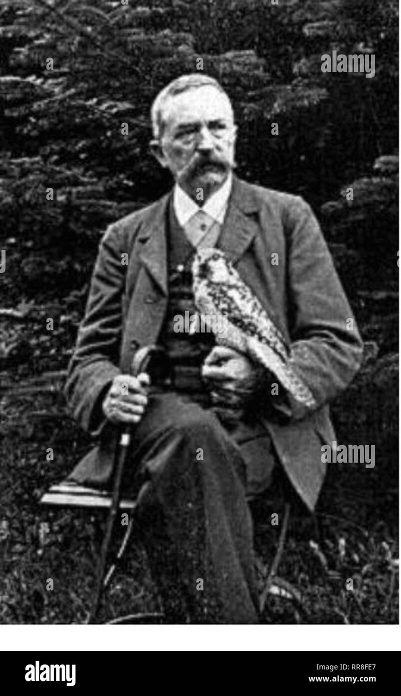 Friedrich Hermann Otto Finsch (8 August 1839 - 31 January 1917 Stock ...