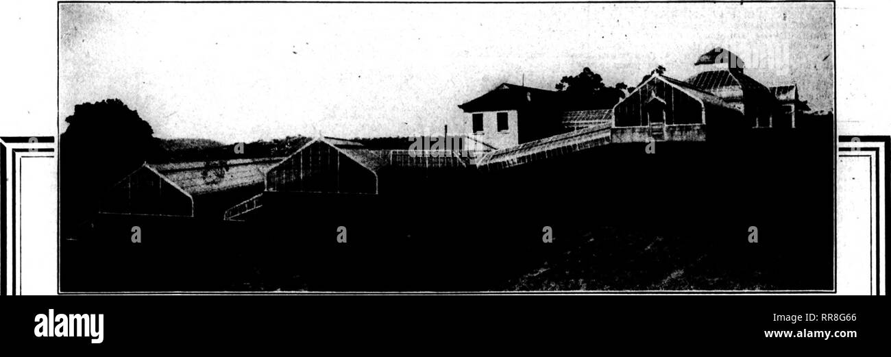 Morganza High Resolution Stock Photography and Images - Alamy