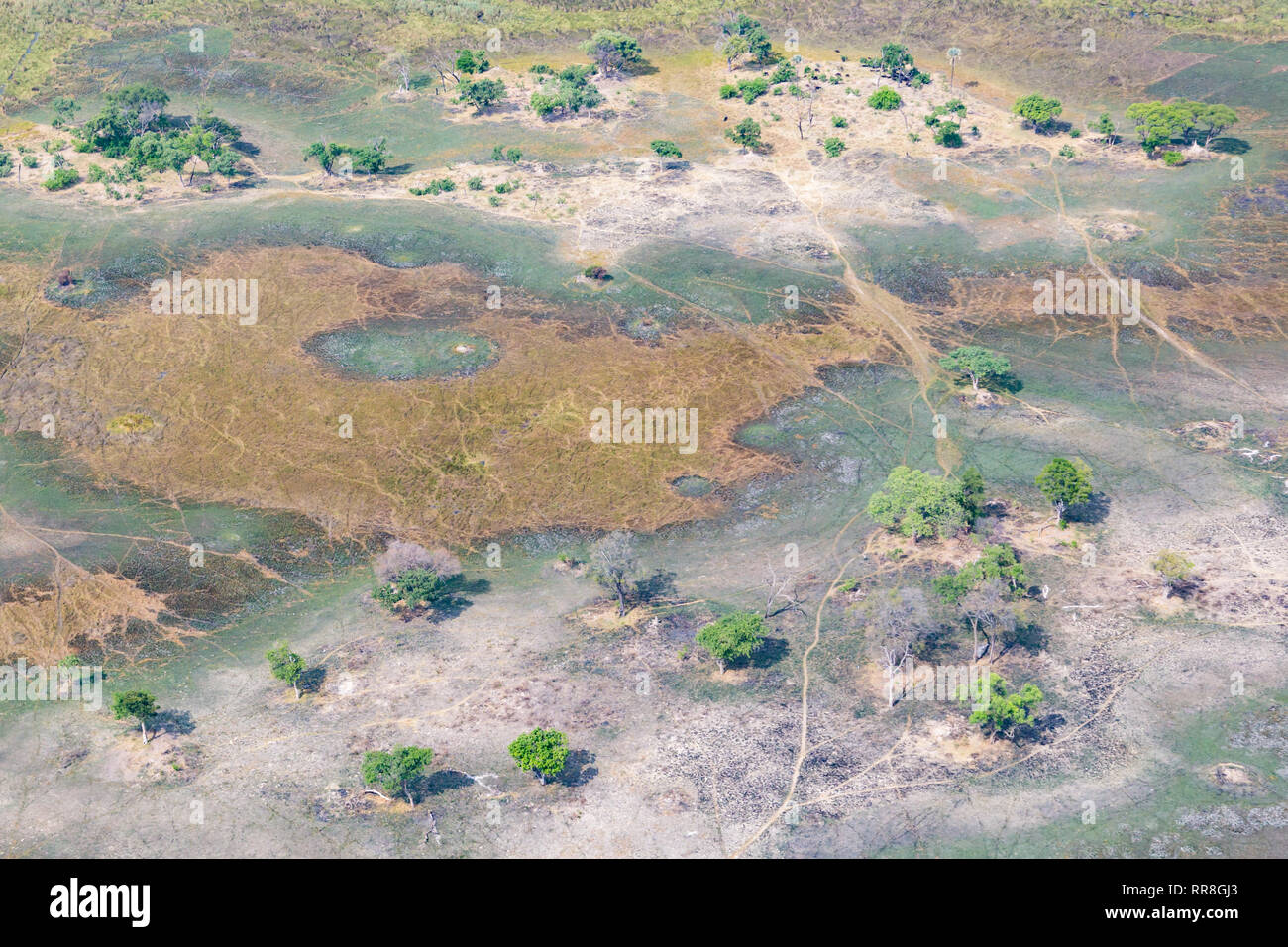 Okavango delta landscape aerial hi-res stock photography and images - Alamy