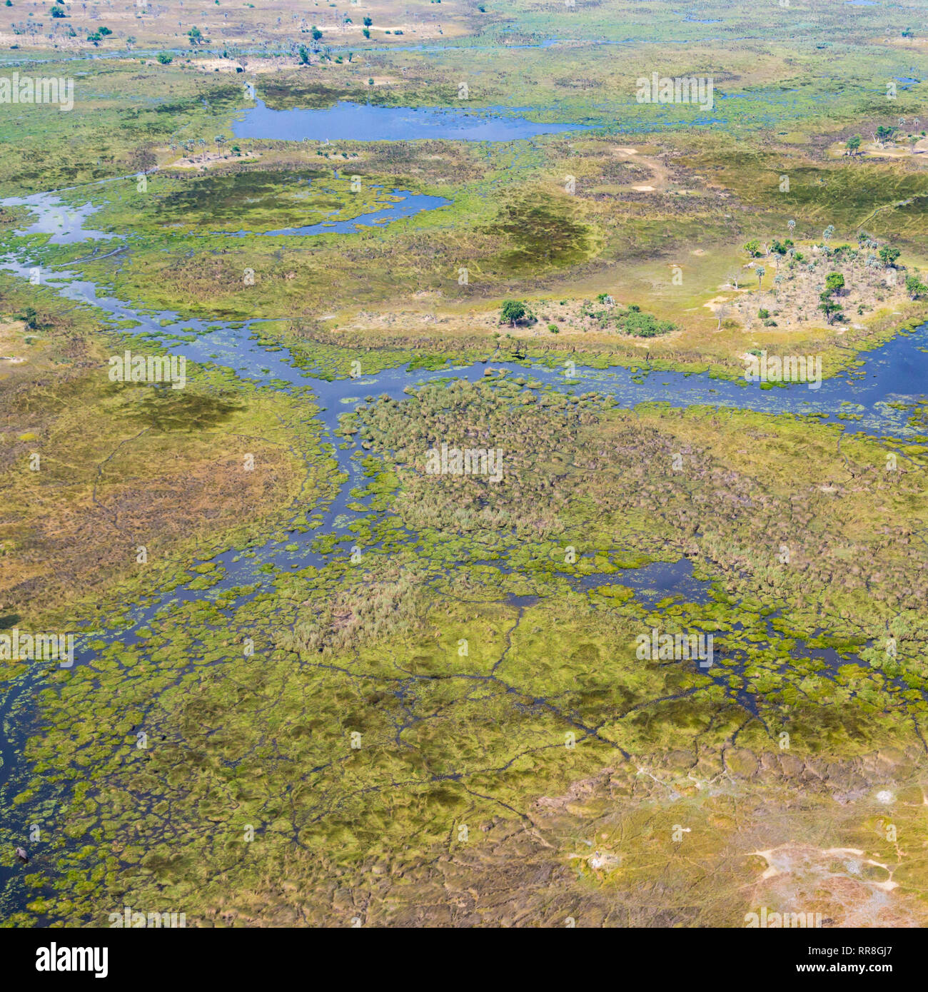 view from above on natural Okavango Delta landscape, swamps, grassland ...