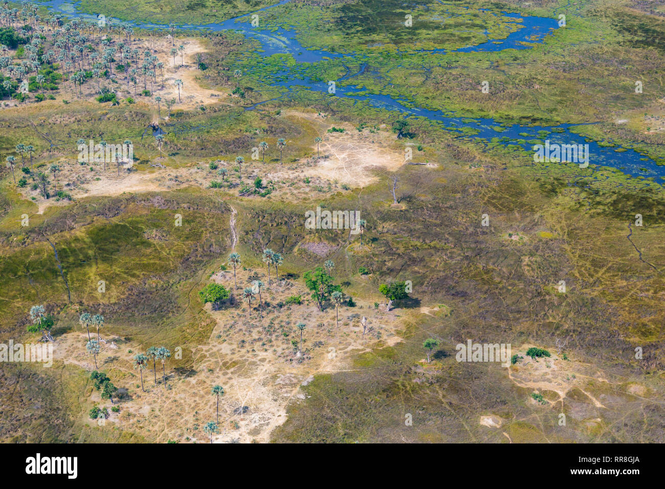 aerial view natural Okavango Delta swamp, grassland, trees, pathways ...