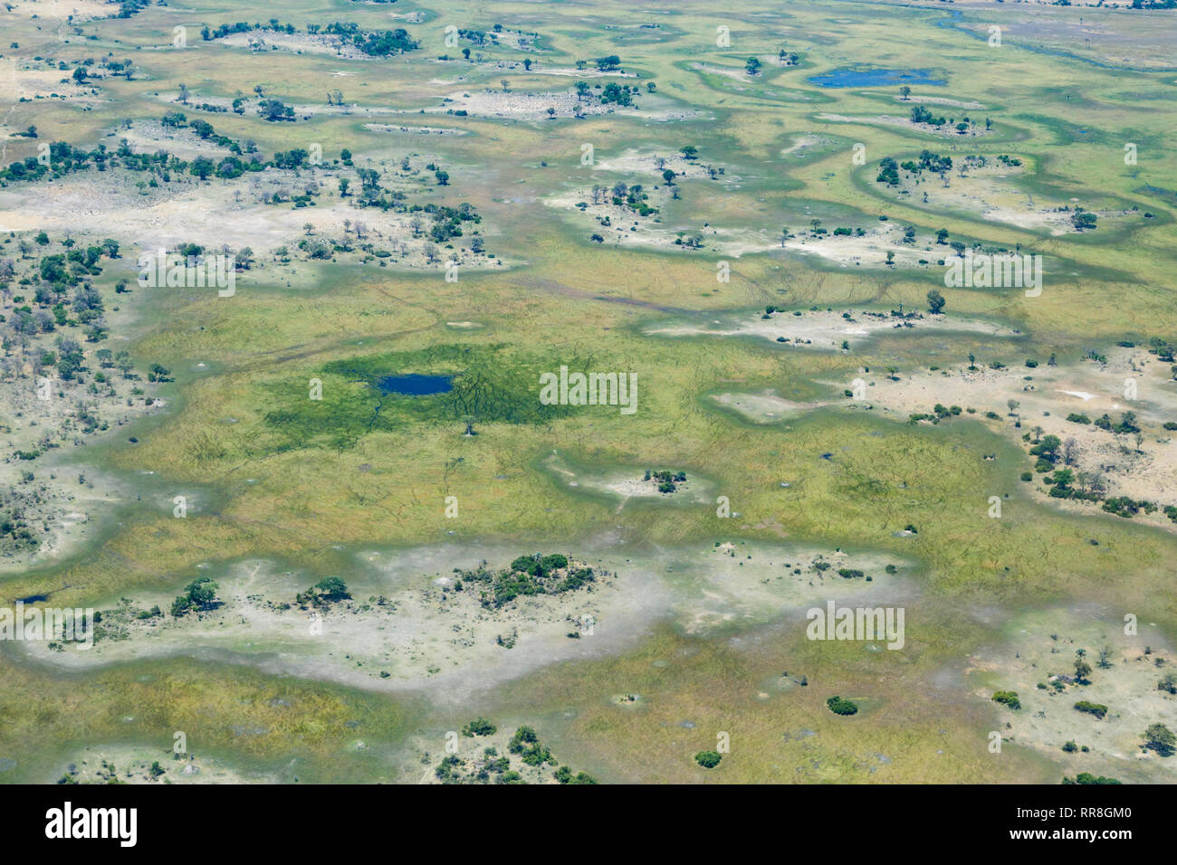 aerial view on natural Okavango Delta landscape Stock Photo - Alamy