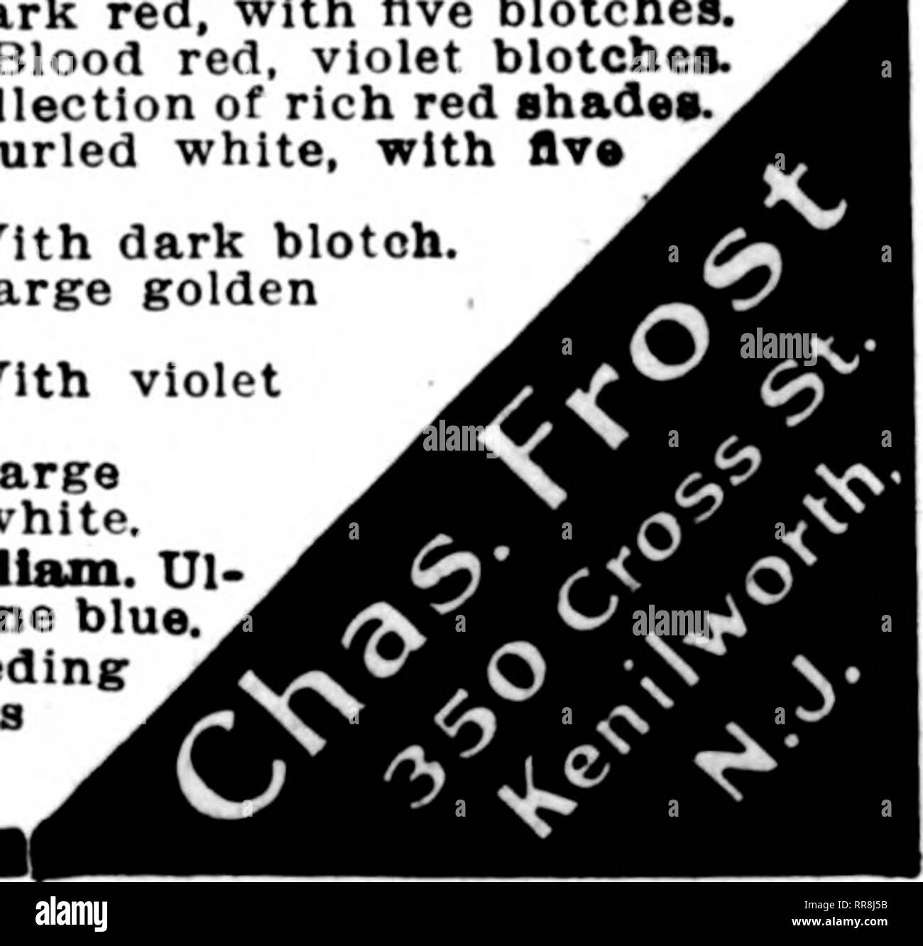 . Florists' review [microform]. Floriculture. GIANT MASTERPIECE. A ...