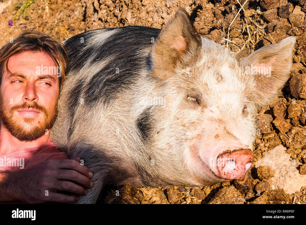 Pig owner hi-res stock photography and images - Alamy