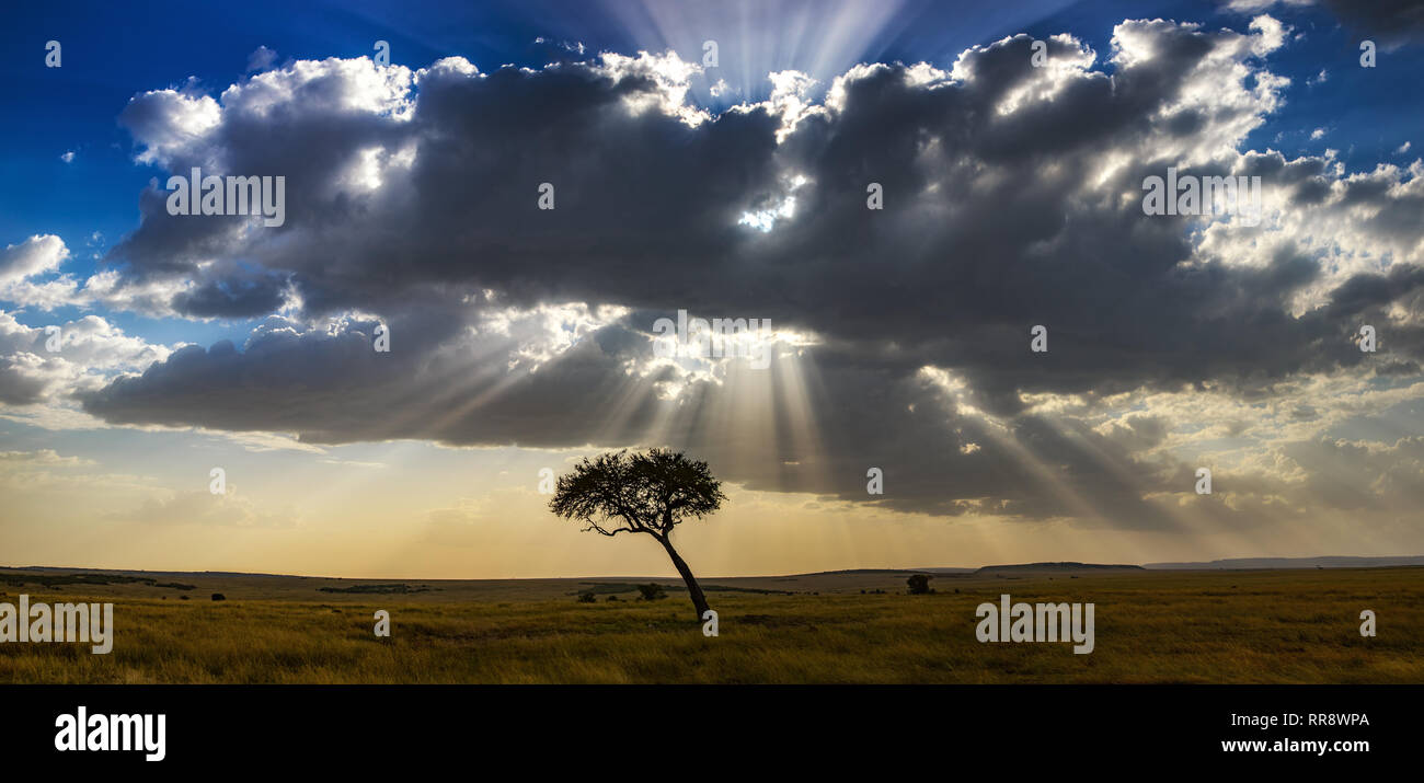 Clouds and sun rays over grasslands national park hi-res stock ...