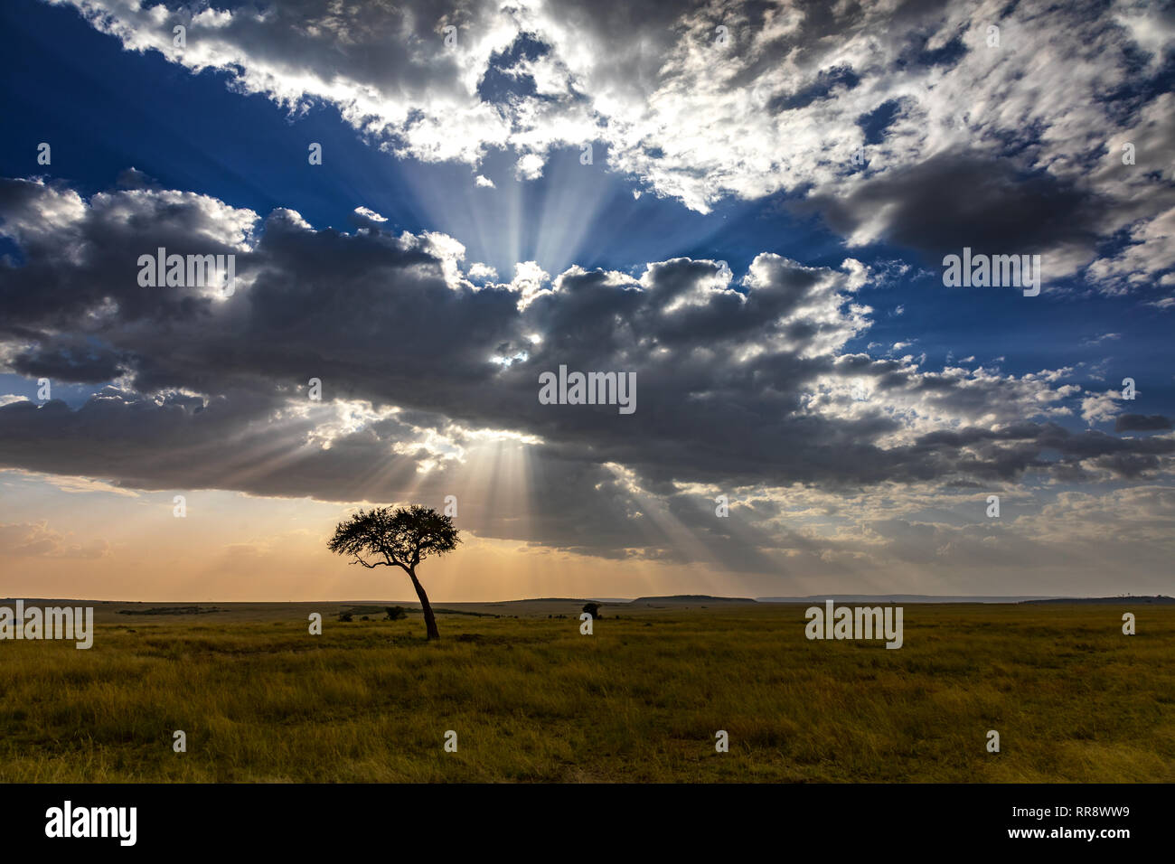 Clouds and sun rays over grasslands national park hi-res stock ...