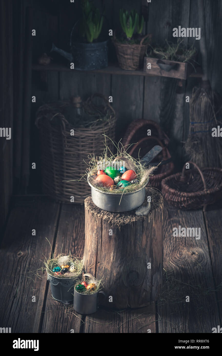 Various Easter eggs with feathers in rural hut Stock Photo - Alamy