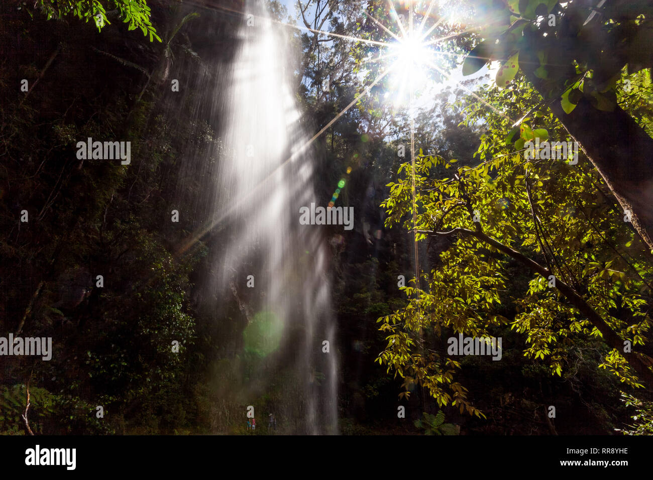 Rays of light shining on waterfall with lens flare in a forest Stock ...