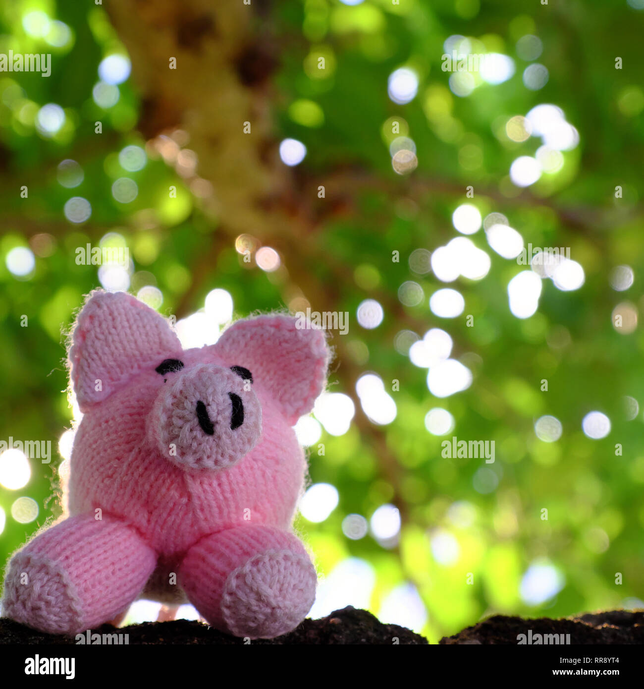 Amazing funny scene with handmade pink pig stand under green tree ...