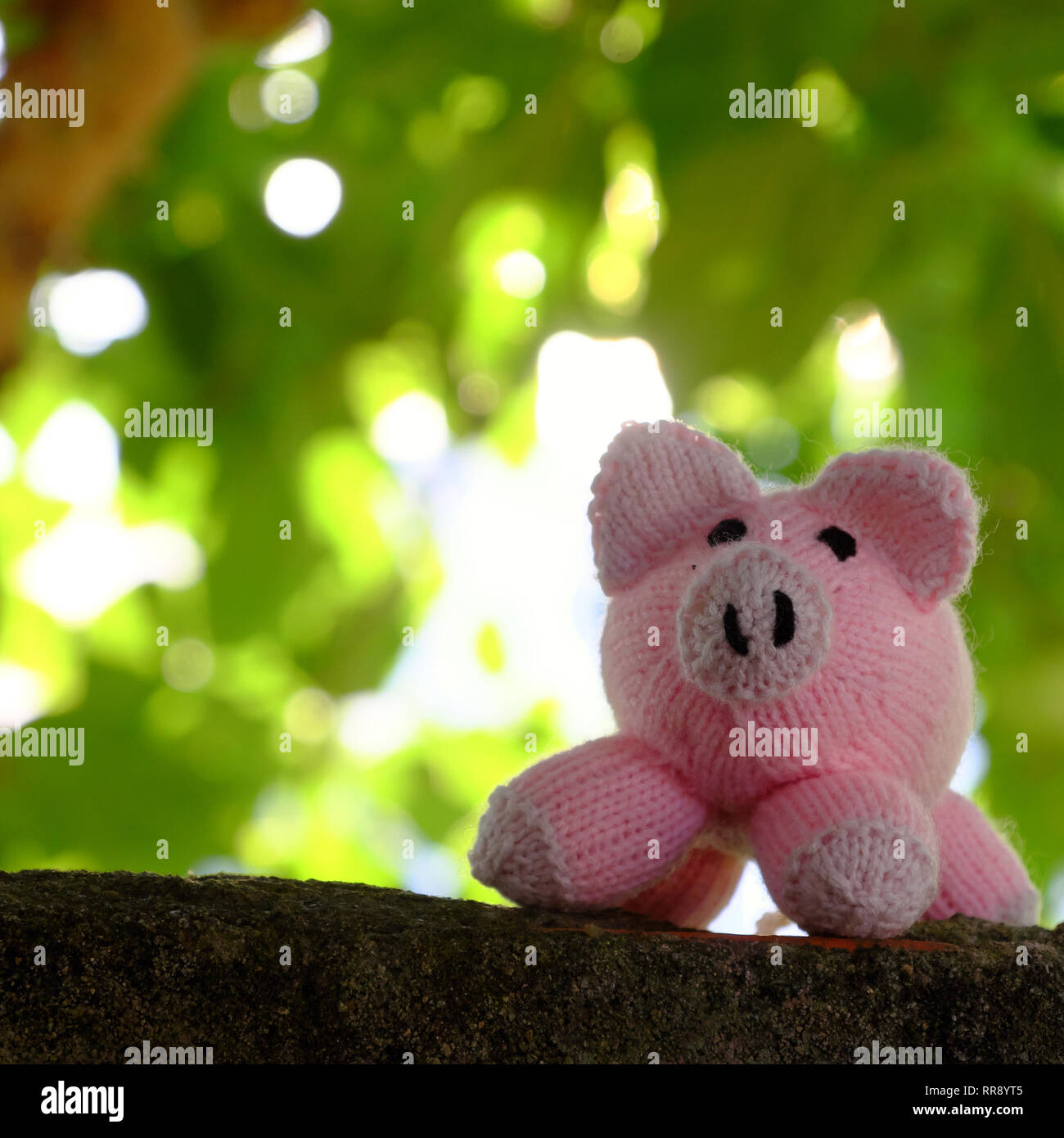 Amazing funny scene with handmade pink pig stand under green tree ...