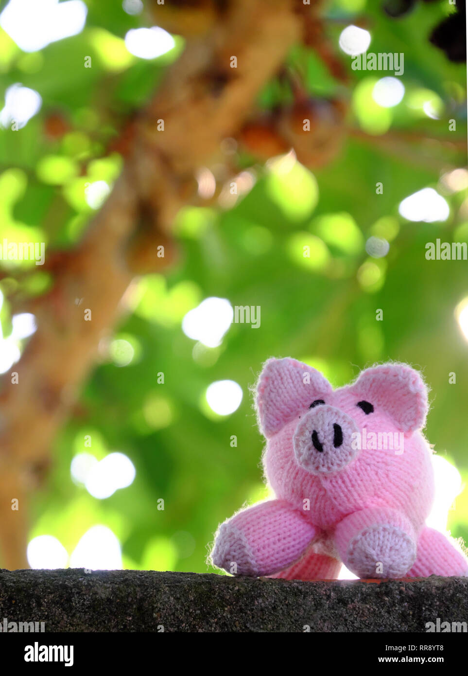 Amazing funny scene with handmade pink pig stand under green tree ...