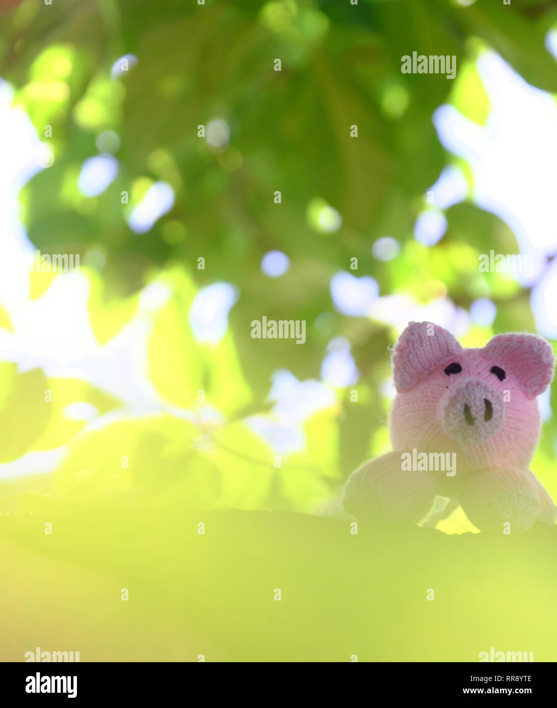 Amazing funny scene with handmade pink pig stand under green tree ...