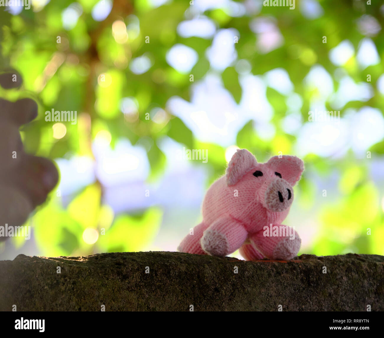 Amazing funny scene with handmade pink pig stand under green tree ...