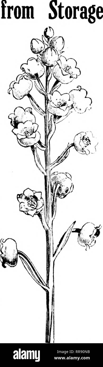 48 500 Black and White Stock Photos & Images - Alamy