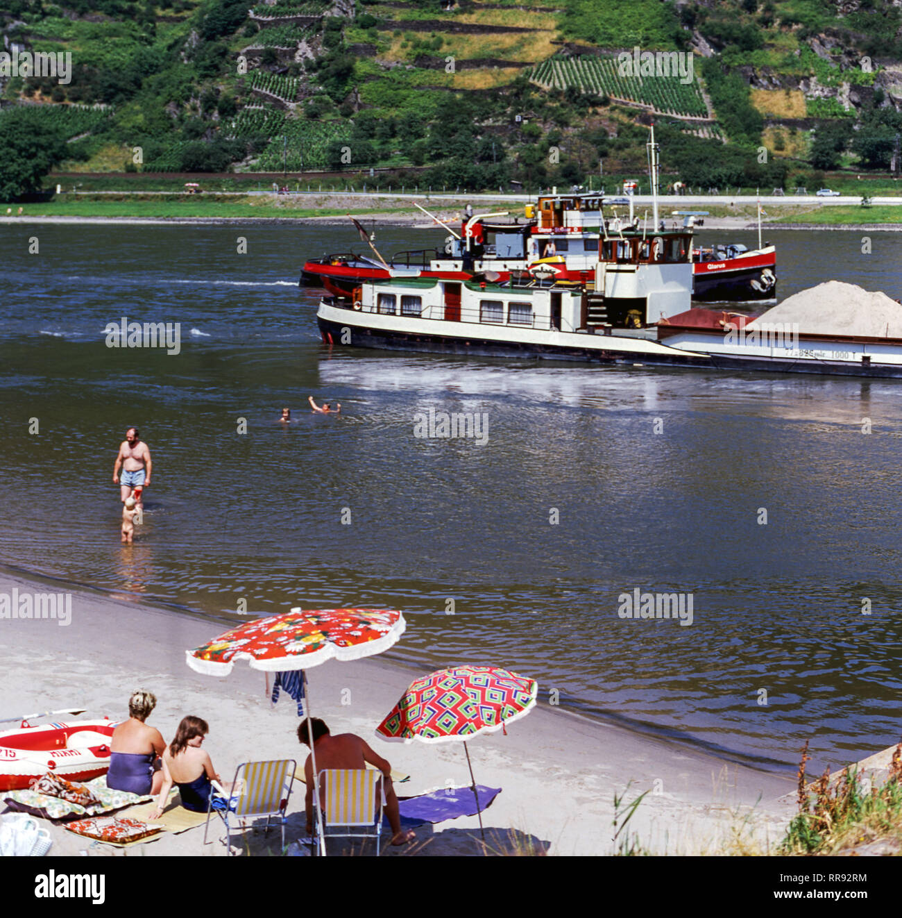 Germany.River Rhine valley.People sunbathing beside the river Rhine ...