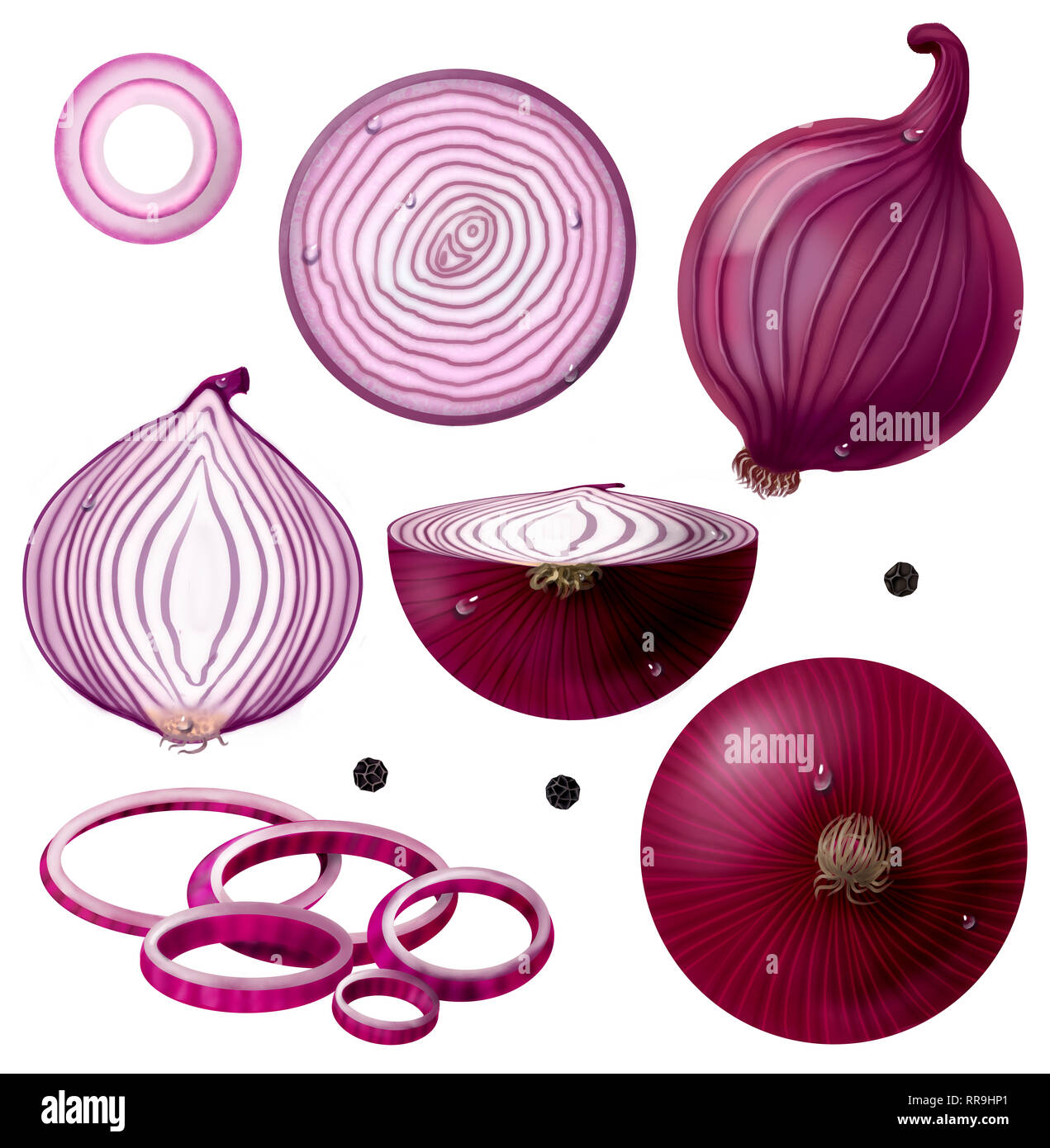 Set. Illustration of red onion, whole, rings, half Stock Photo - Alamy