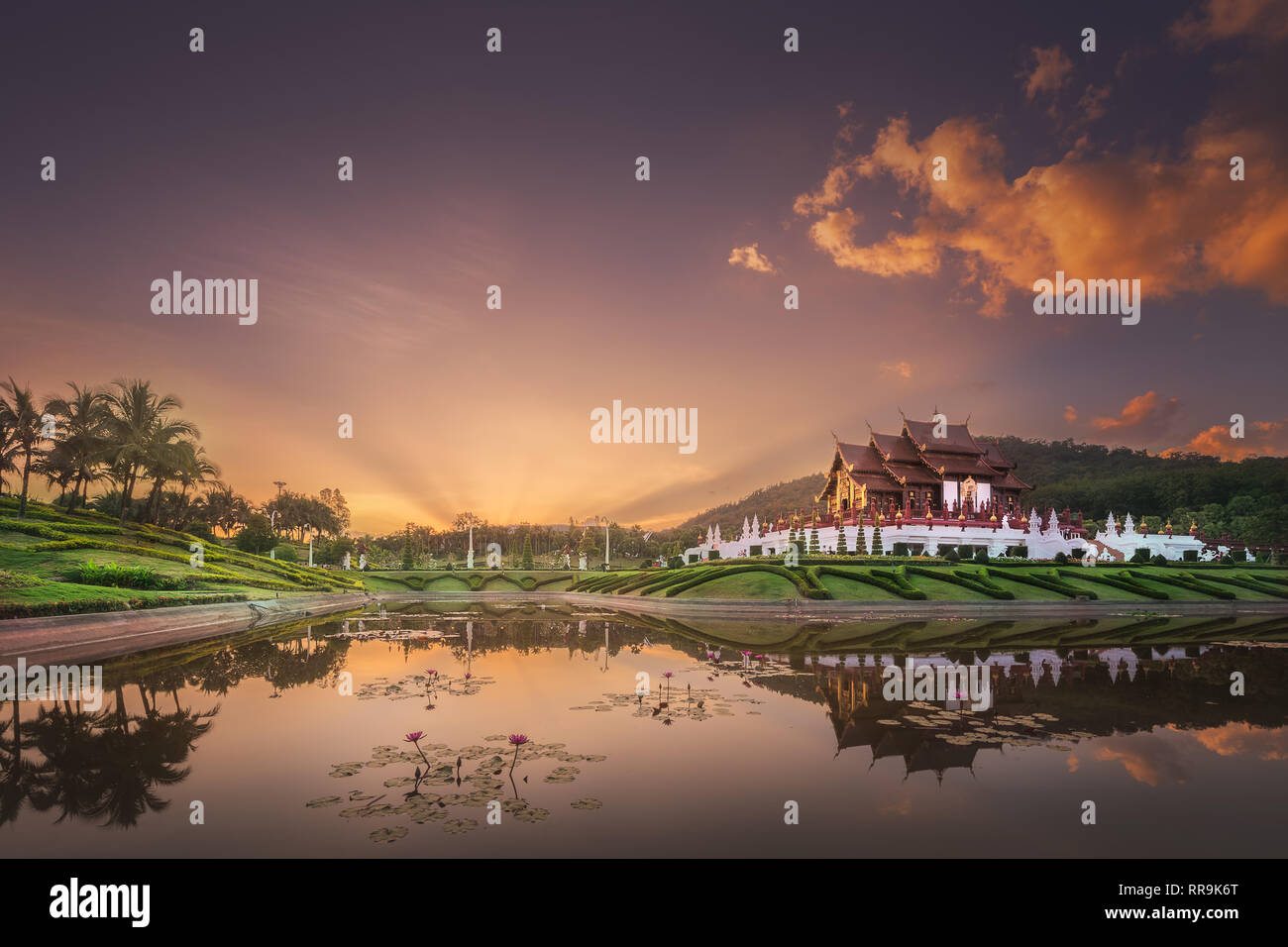 Royal Flora Ratchaphruek Park at sunset Chiang Mai Stock Photo - Alamy